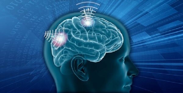 DARPA selects six teams for N3 project - Intelligence Community News