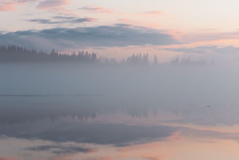 IARPA posts MIST II RFI - Intelligence Community News