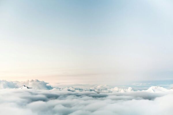 SentinelOne and Google Cloud expand collaboration - Intelligence ...