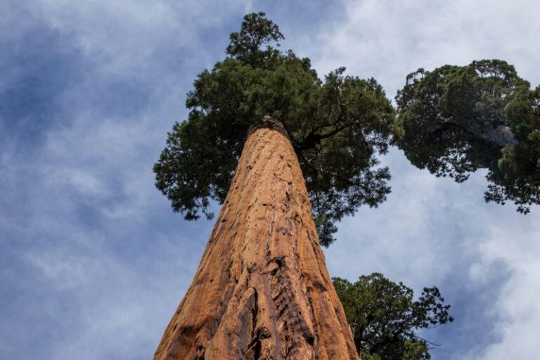 Enabled Intelligence secures NGA SEQUOIA contract - Intelligence ...